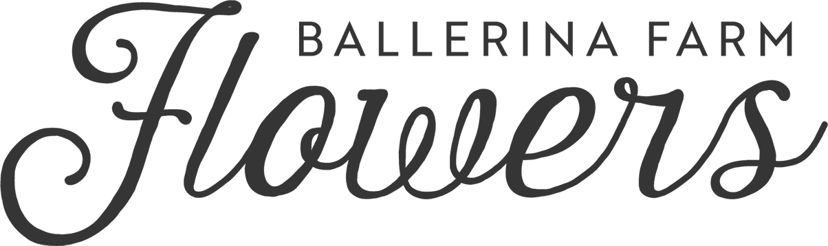 Wright Flower Box | Wright Flower Box