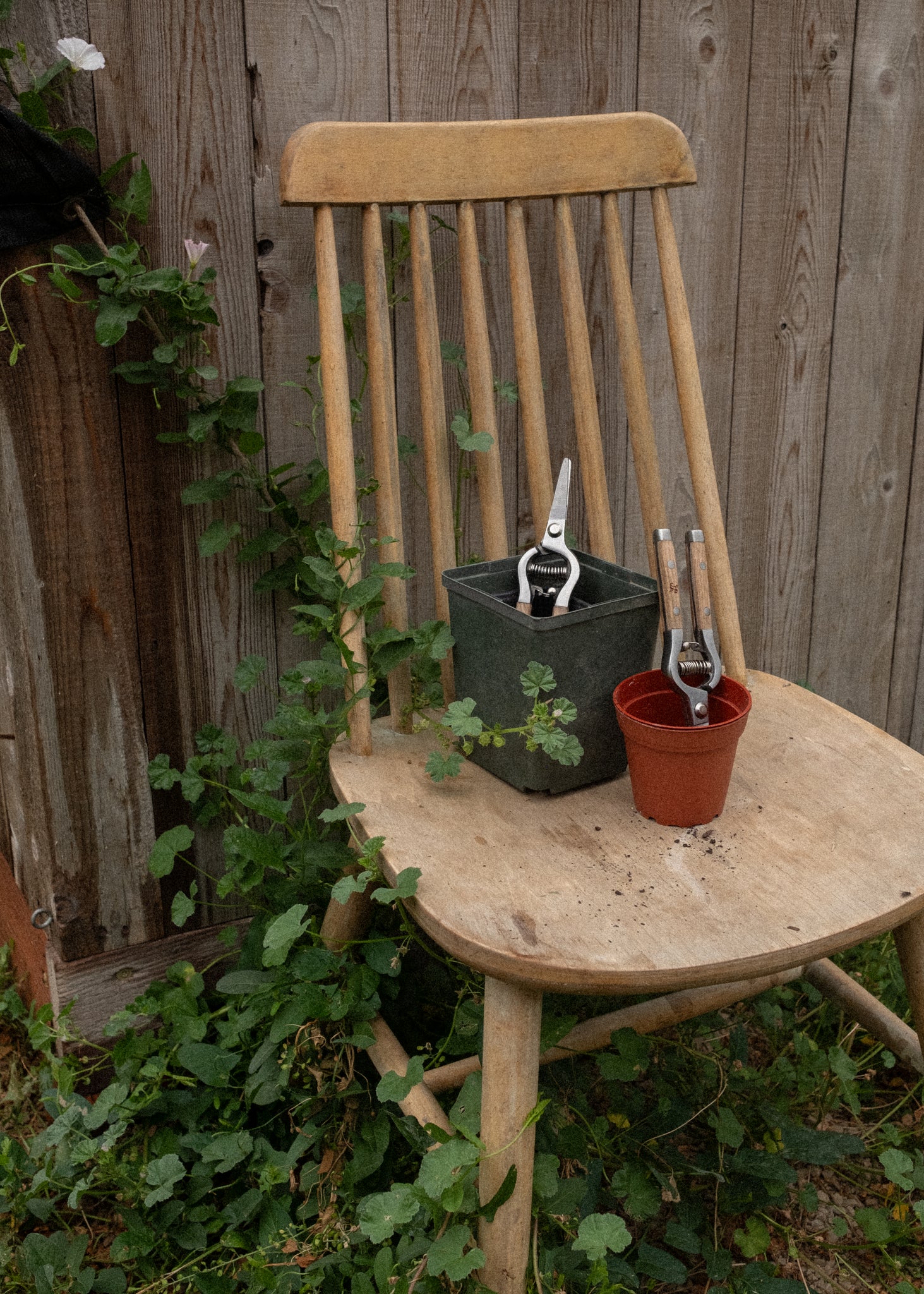 One Time Delivery Flower Box | Wright Flower Box